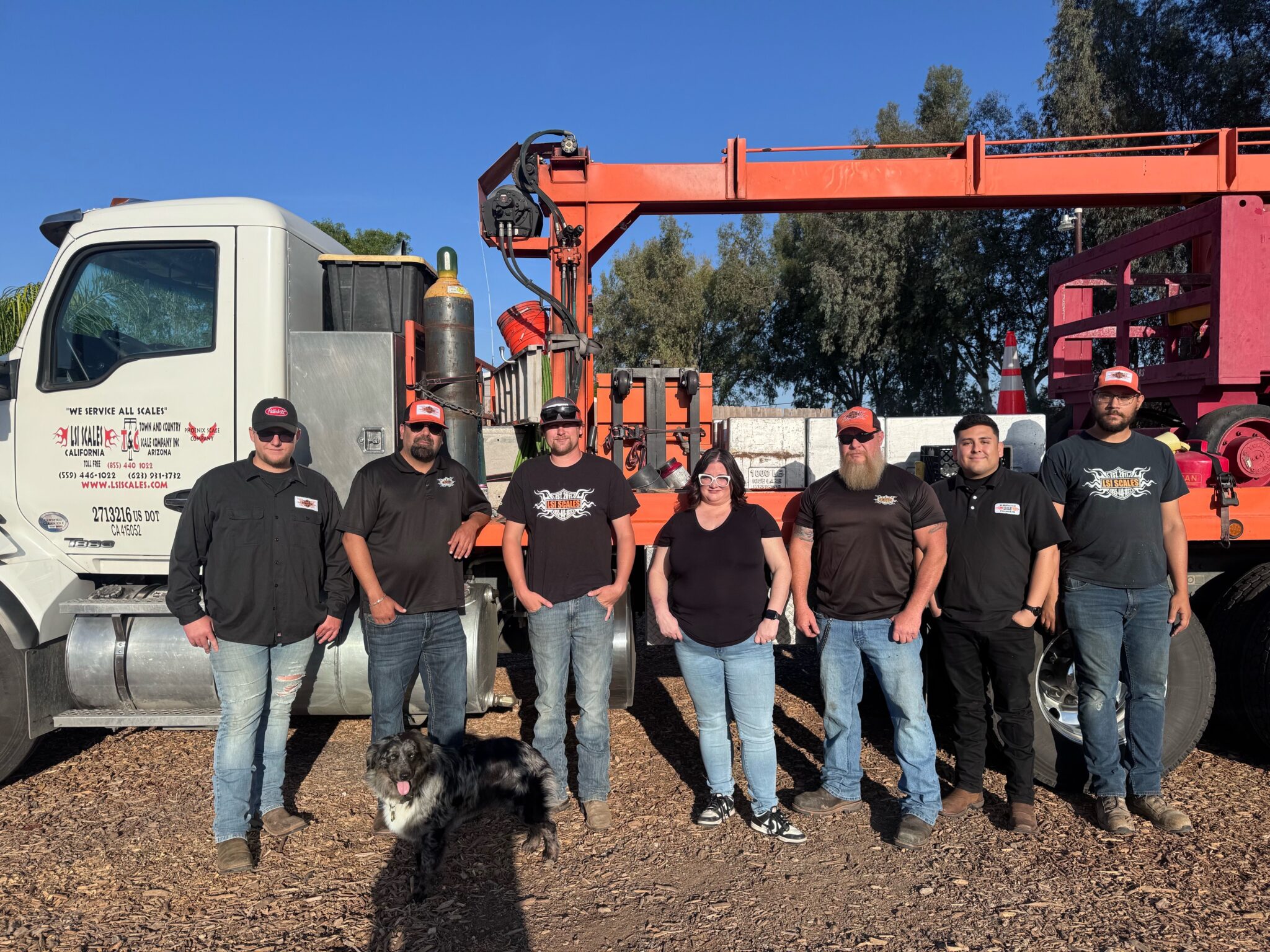About Us | 50+ Years Scale Expertise | Certified Repair & Calibration